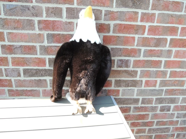 STEIFF 505232 - Weisskopfadler , Größe ca 62 cm !! ( ca 20 Jahre alt ...