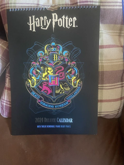 HARRY POTTER DELUXE 2024 Calendar With Collectable Posters EUR 2,37 ...