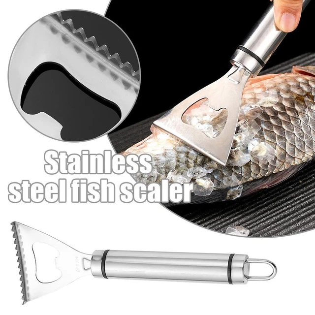 +STAINLESS STEEL FISH Cleaner Scaler Scraper Peeler Kitche Remover Fish ...