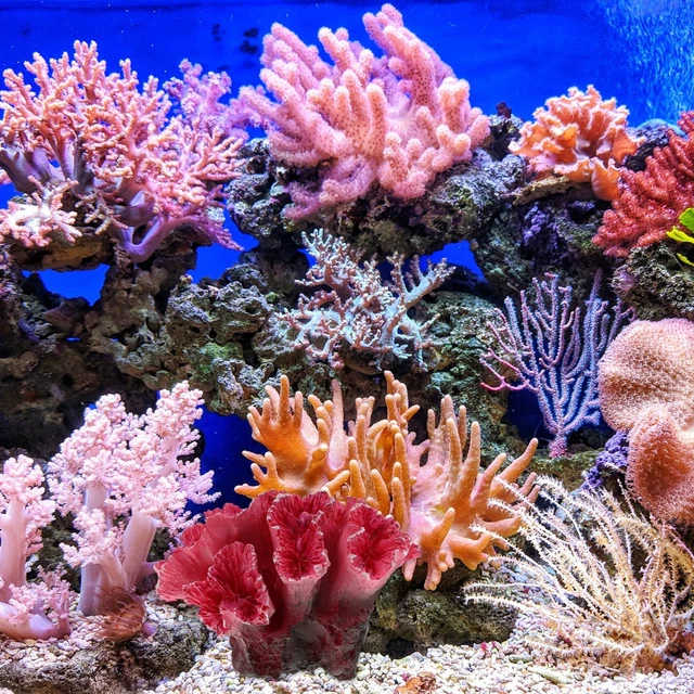 ARTIFICIAL CORAL REEFS Artificial Fish Tank Coral Reef Aquarium $22.99 ...