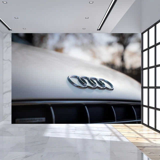 PAPIER PEINT PHOTO Vlies Et Voiture Audi R8 V10 Logo 610 Ps 330 Km/H ...