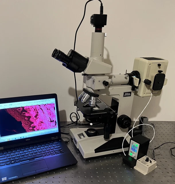 Fluorescence Imaging