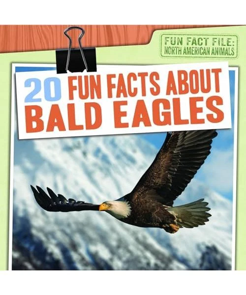 20 FUN FACTS About Bald Eagles (Fun Fact File: North American Animals ...