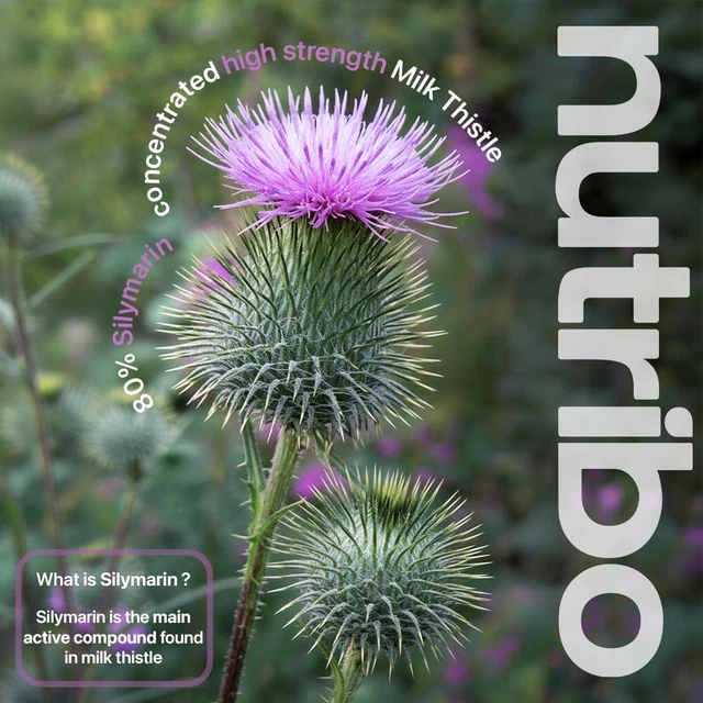 MILK THISTLE HIGH Strength 10,520Mg with Dandelion Root and Artichoke ...