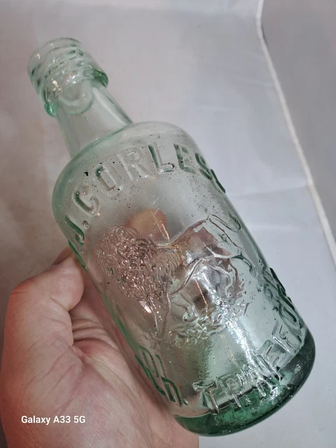FABULOUS CORLESS, OLD Trafford Lion Pictorial Dumpy Ginger Beer Bottle ...