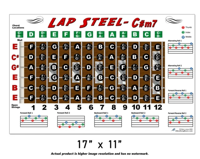 LAP STEEL GUITAR Fretboard Wall Chart Poster Tuning - C#m7 Notes Chords ...