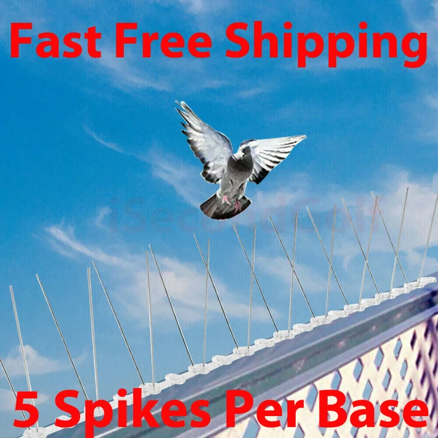 FENCE WALL ROOF Anti BIRD SPIKES Pigeon Deterrent Pest control Possum ...