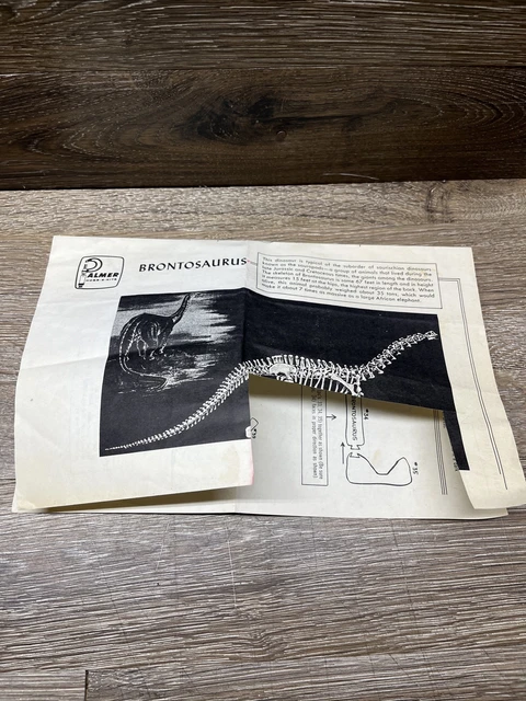 PALMER PLASTICS BRONTOSAURUS Dinosaur. 13 inch Skeleton Model kit ...