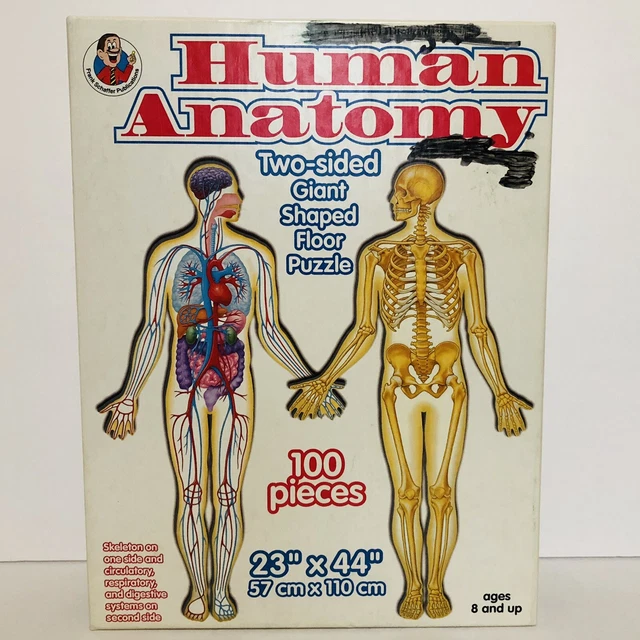 HUMAN ANATOMY 100 Piece 2-Sided Giant Shaped Floor Puzzle Schaffer 23 ...