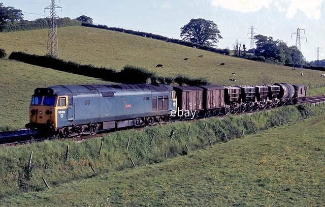ORIGINAL 35MM SLIDE BR Diesel Class 50 no.50013 mixed freight +rights ...