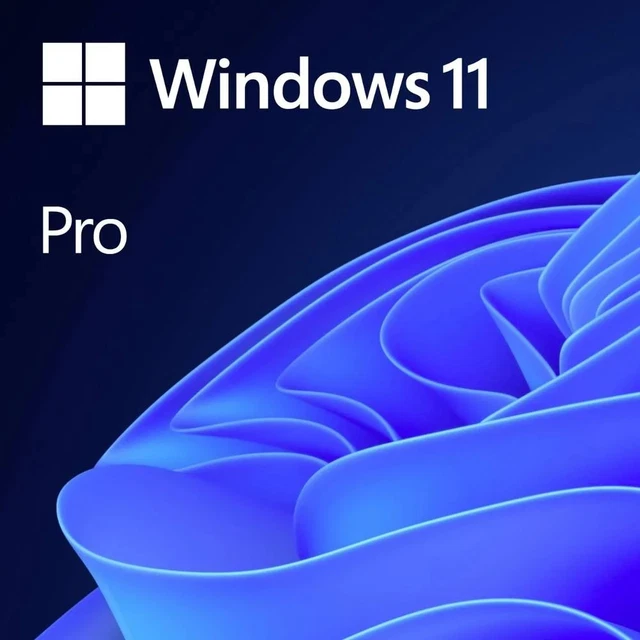MICROSOFT WINDOWS 11 Pro OEM version complète, 1 licence anglais ...