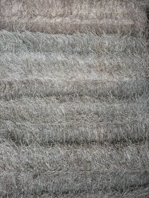 HAY BALES 6 String 2025 £70.00 - PicClick UK