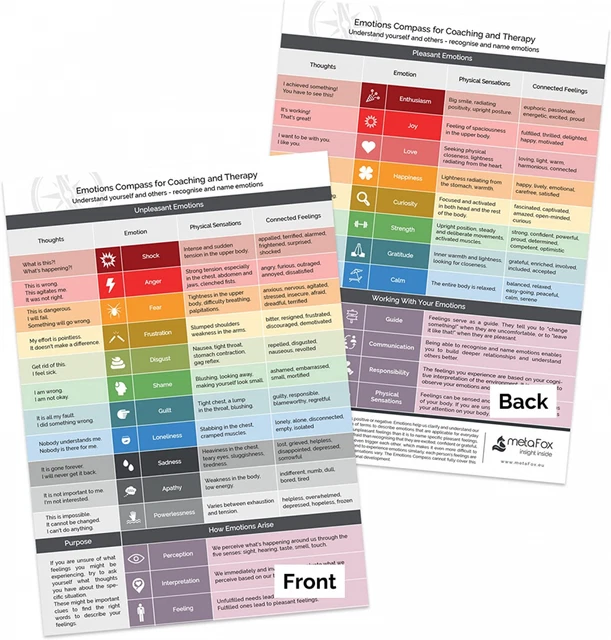 METAFOX EMOTIONS COMPASS A4 Papier plastifié Compas des émotions ...