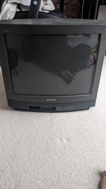 SONY TRINITRON 21 Inch CRT TV | Retro Gaming | Works Well £130.00 ...