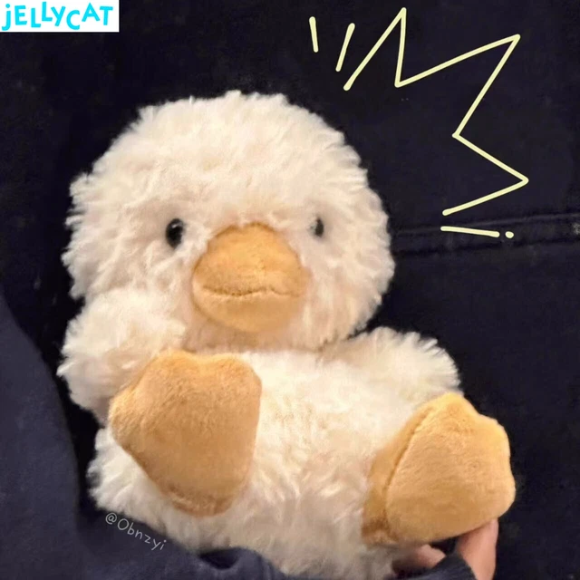 JELLYCAT YUMMY DUCKLING Orange Retired Duck Plush New With Tags Dust ...