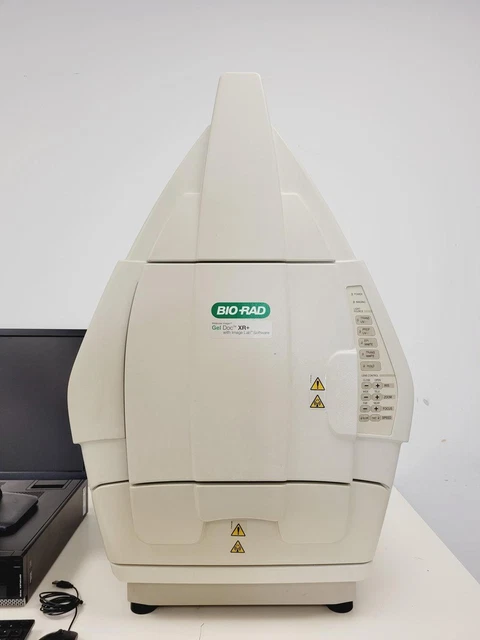 BIO-RAD MOLÉCULAIRE IMAGEUR Gel Doc XR + Imagerie Système de ...