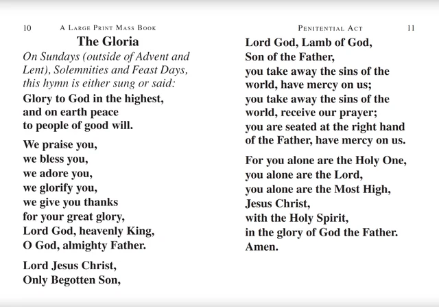 LARGE PRINT MASS Book, bible, missal, catholic church prayer book £6.95 ...