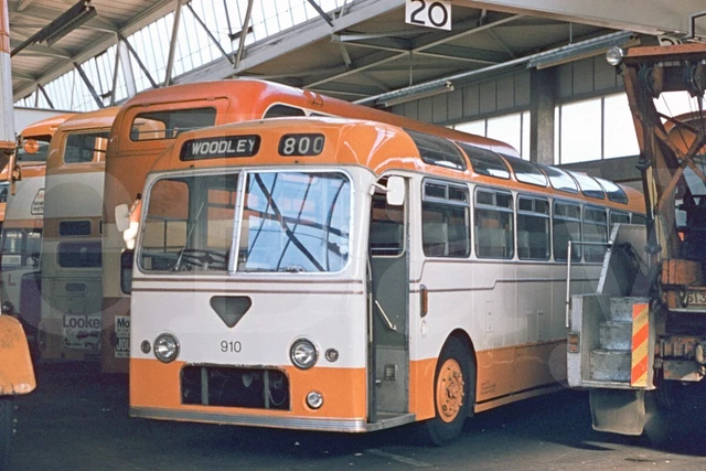 BUS PHOTO - SELNEC 910 VDB910 Leyland Leopard Alexander ex North ...