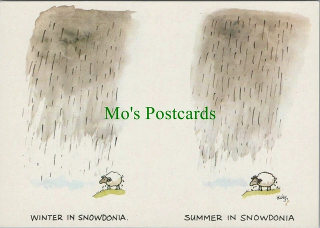 COMIC POSTCARD - Weather/Sheep/Winter & Summer, Snowdon, Artist Besley ...