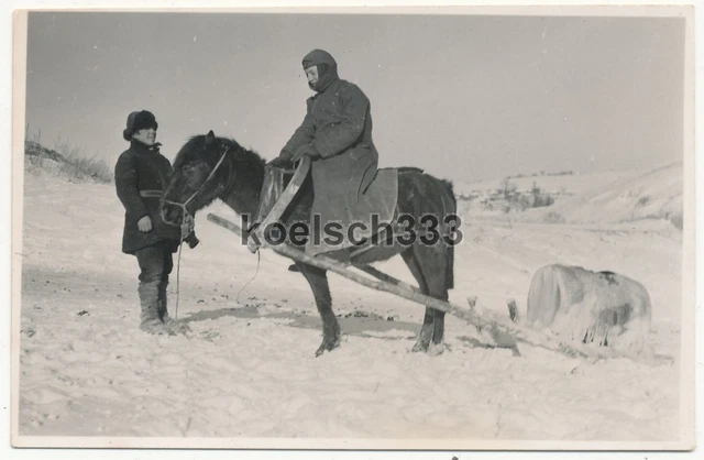 FOTO SOLDAT DER Wehrmacht auf Panje Pferd mit gefrorenen Fass auf dem ...