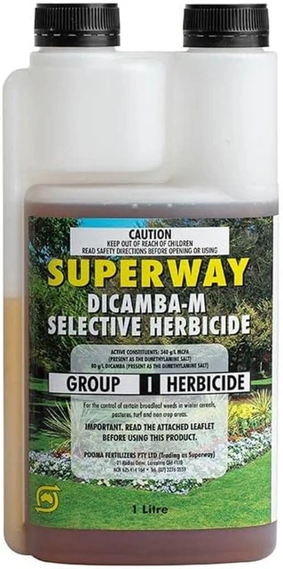 SUPERWAY HERBICIDE SUPERWAY Dicamba-M Selective Weed Killer 1 Litre $45 ...
