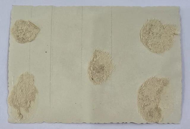 FOTO,PANZER,TANK,PANZERKAMPFWAGEN IV,KENNUNG, TECHNIK, Wehrmacht, 2.WK ...