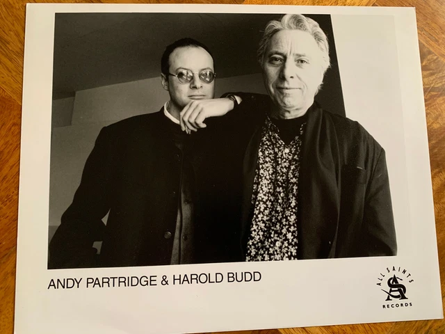 ANDY PARTRIDGE, HAROLD BUDD Original Photo Press (XTC) £31.62 - PicClick UK