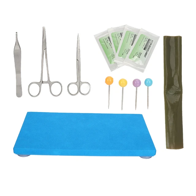 INTESTINE SUTURE TRAINING Model Intestinal Suture Model Improved Skills ...