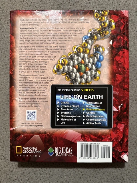 BIG IDEAS MATH: Modeling Real Life Grade 7 Hardcover, by Ron Larson ...