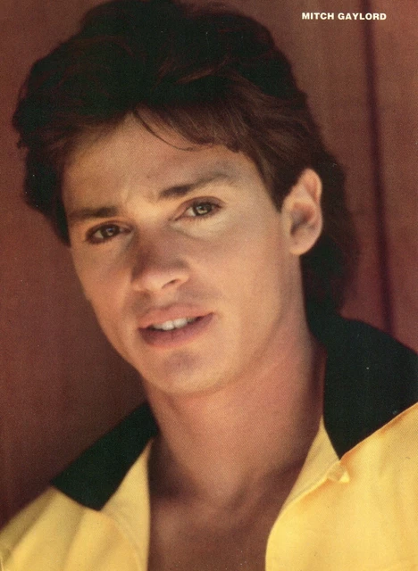 MITCH GAYLORD PINUP Clipping Cutting From Magazine 80'S Close Up $6.00 ...