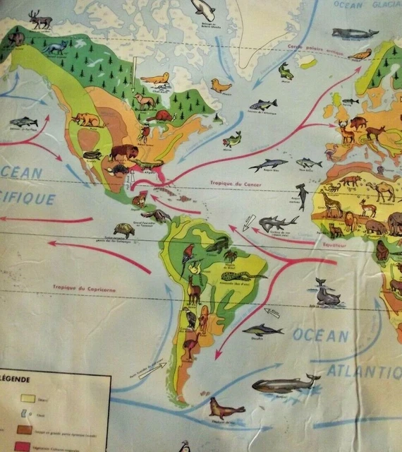 OLD MAP SCHOOL Poster Mdi 1960 World Map World Animals Lion Elephant ...