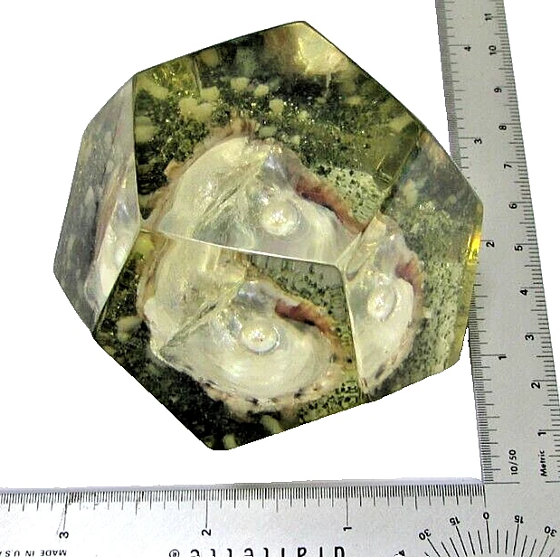 VINTAGE LUCITE 12 Sided Paperweight Oyster Shell with Pearl Inside ...