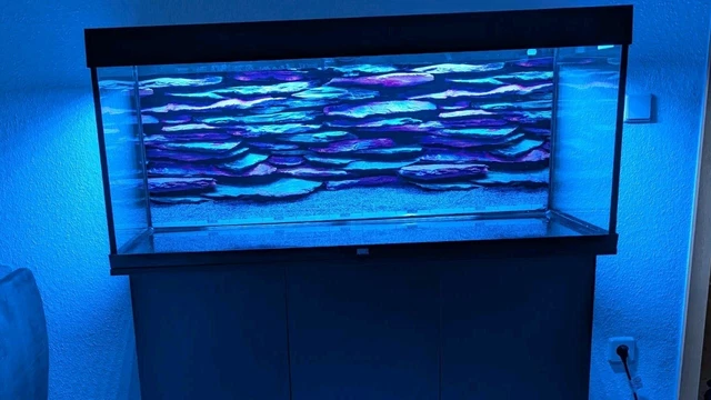 JUWEL RIO 240 Aquarium•Chihiros WRGB(per App Steuerbar)•Oase FiltoSmart ...