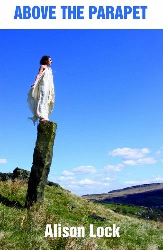 ALISON LOCK ABOVE the Parapet (Poche) EUR 11,02 - PicClick FR