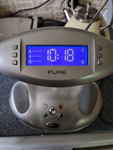 PURE THE BUG DAB Radio - Digital radio with pause and rewind Silver £25 ...
