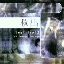 REDEMPTION DE FLESH Field | CD | état très bon EUR 17,20 - PicClick FR