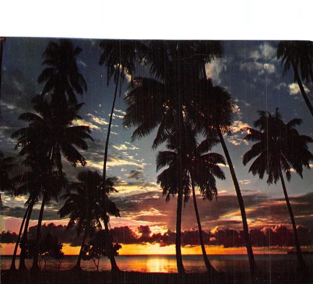 ALGERIE SCENES ET Types Paysage EUR 5,90 - PicClick FR