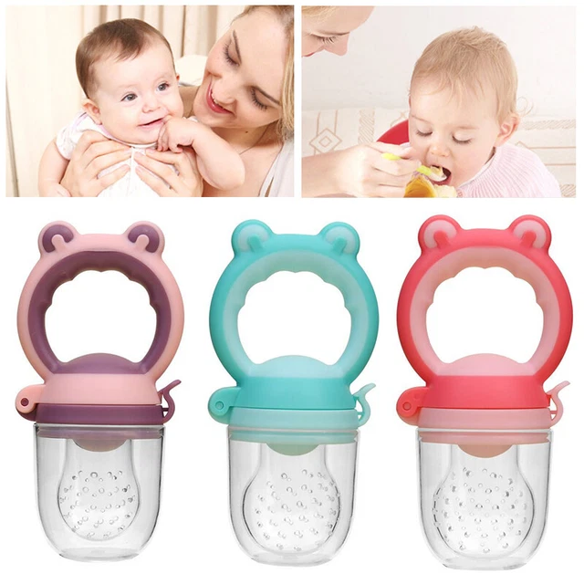 BABY DUMMY FEEDING Nibbles Weaning Nutrition Pacifier Fresh Fruit Food ...