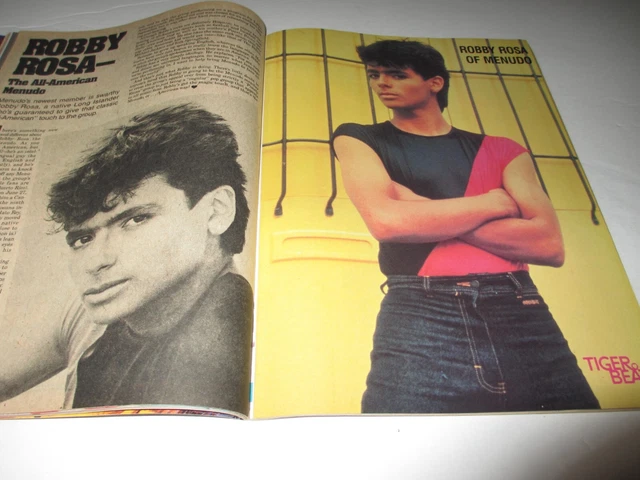 TIGER BEAT MAGAZINE April 1984 SPRINGFIELD Van Halen MENUDO Jim Youngs ...