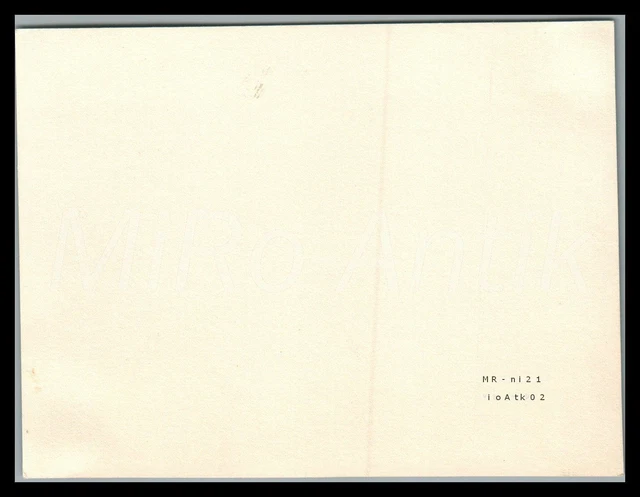 FOTO, NACHL. FLIEGERING.PELLETIER, Focke-Wulf F19 Ente, Erstflug, L319L ...