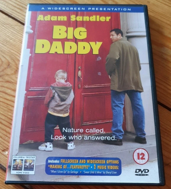 BIG DADDY (DVD, 2008) Adam Sandler, Certificate 12, Region 2 £0.99 ...