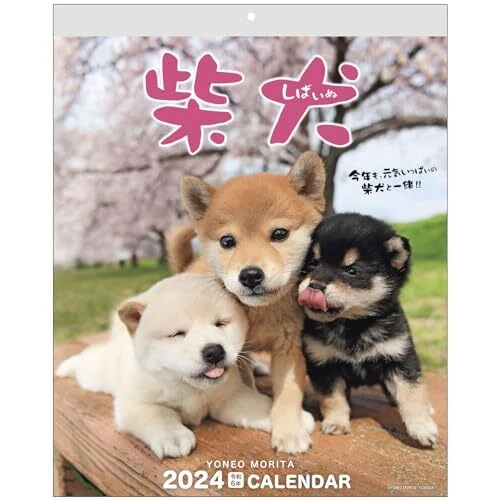 ACTIF CORPORATION 2024 Calendrier Mural Suspendu Yoneo Morita en Gros ...