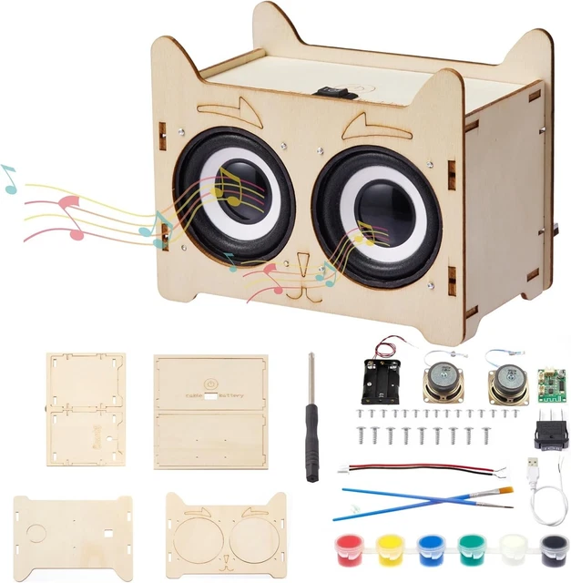 DIY SPEAKER BOX Kit, Paint-Able Electronic Sound Amplifier, Stem Kits ...