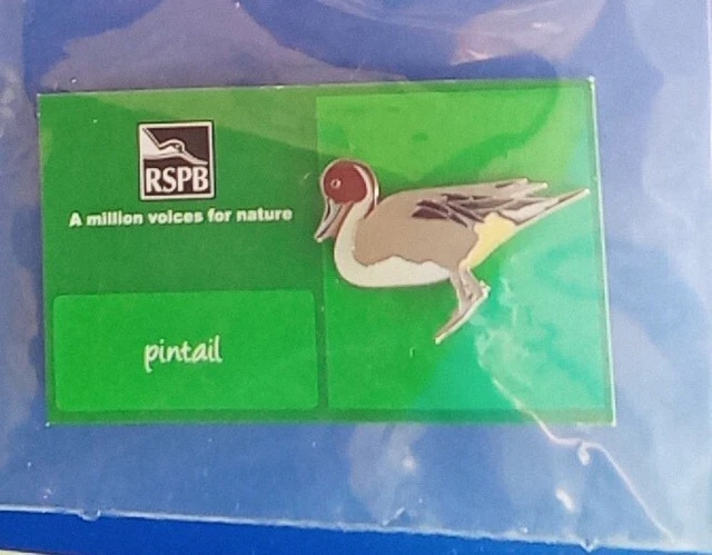 RSPB PIN BADGE PINTAIL on amvfn card £6.50 - PicClick UK