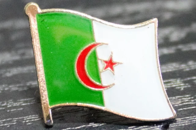 ALGERIA ALGERIAN COUNTRY Metal Flag Lapel Pin Badge *NEW* MIX & MATCH ...