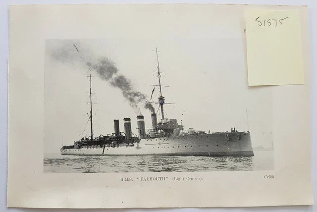 CRIBB WW1 WARSHIP Light Cruiser 1915 Photo Print HMS Falmouth HMS ...
