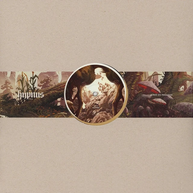 BIRDS OV PARADISE - Plateau 2026 Repress (Vinyl 12" - 2019 - EU ...