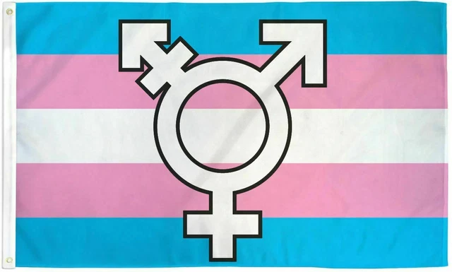 TRANSGENRE DRAPEAU 3X5 Lgbtqia Transfert Pride Symbole Arc-en-Ciel EUR ...