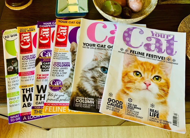YOUR CAT MAGAZINES Bundle. 6 Issues July-December 2022. VGC £11.99 ...