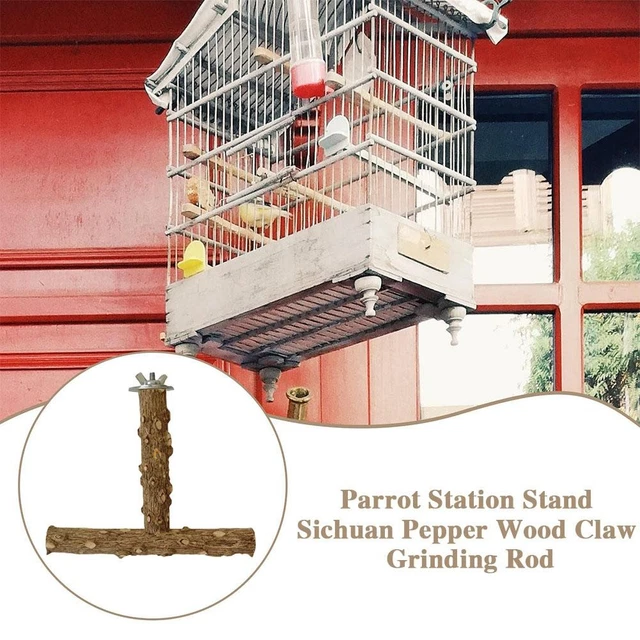 PARROT NATURAL TREE Branch Station Pole Sichuan Pepper Wood Station ...